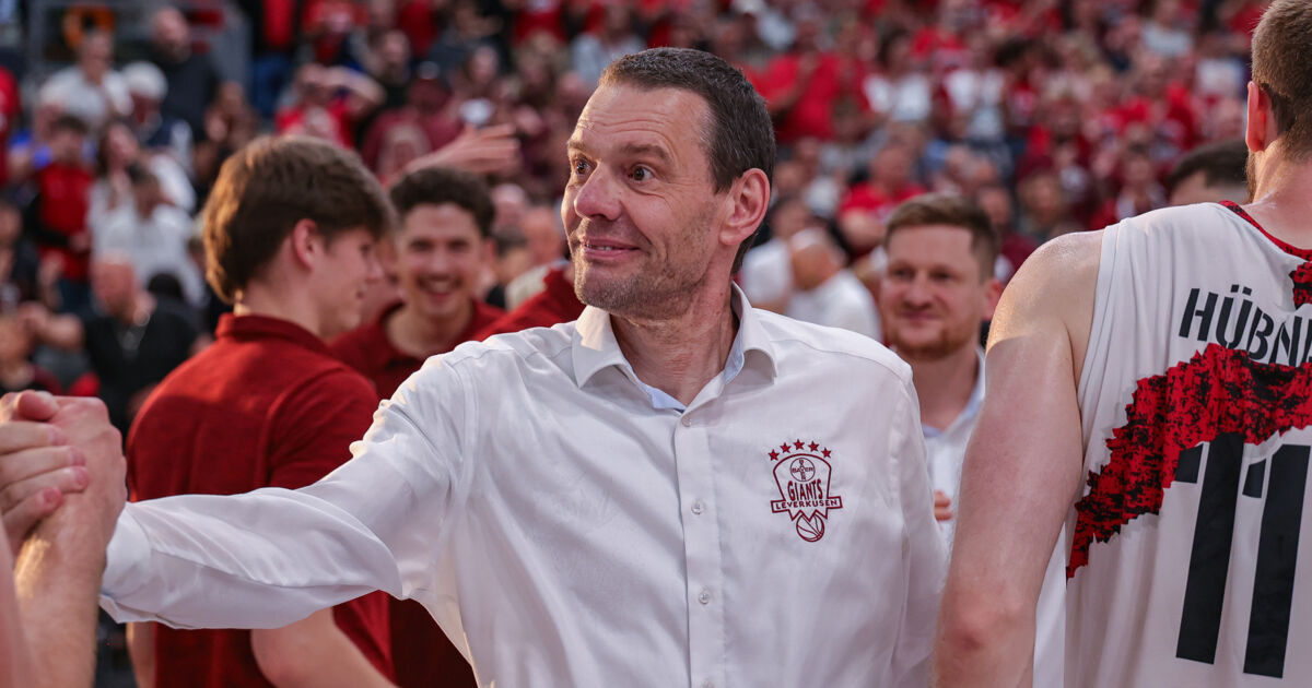 Mike Koch bleibt Headcoach des Rekordmeisters - Giants TSV Bayer 04 Leverkusen