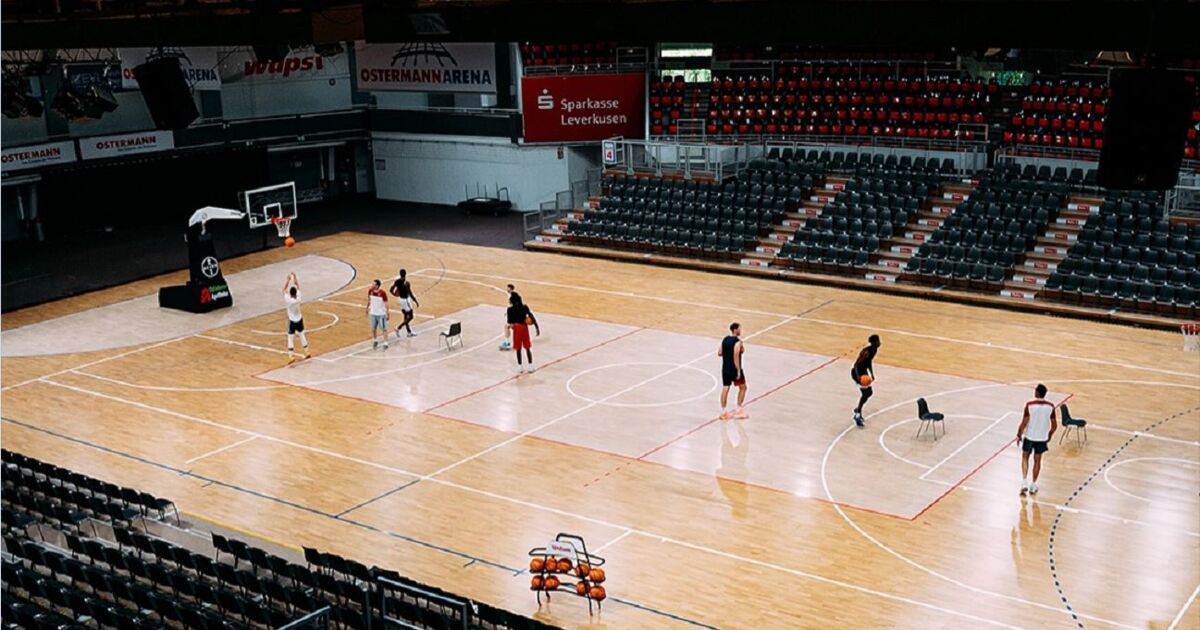 „Open Practice“ in der Rundsporthalle - Giants TSV Bayer 04 Leverkusen